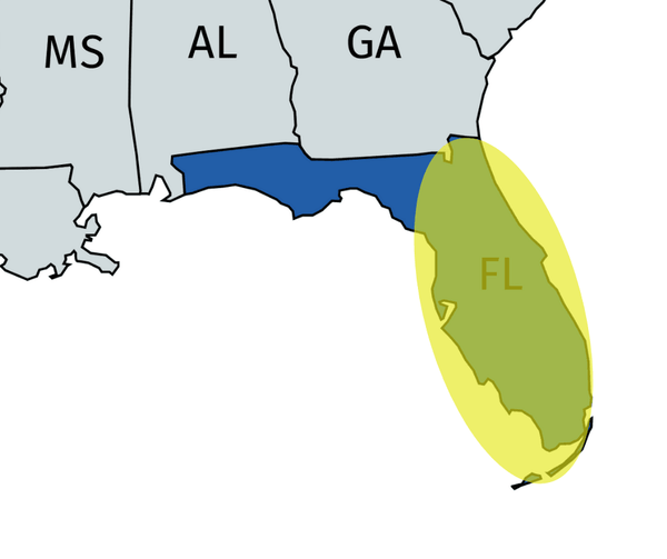 EMF Testing - Shielded Healing